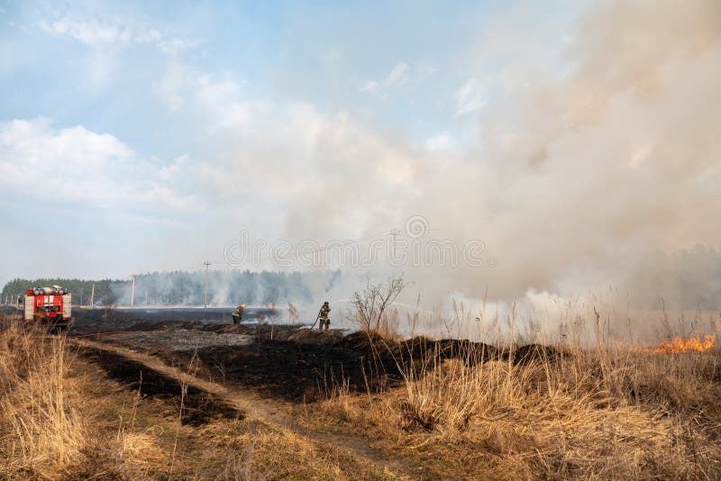 Forest Fire Burning, Wildfire Close Up at Day Time Stock Image - Image ...