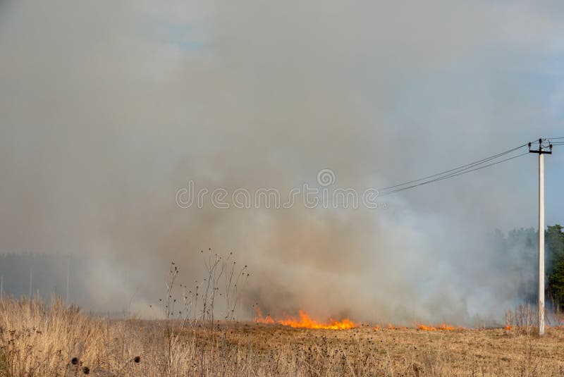 Forest Fire Burning, Wildfire Close Up at Day Time Stock Image - Image ...