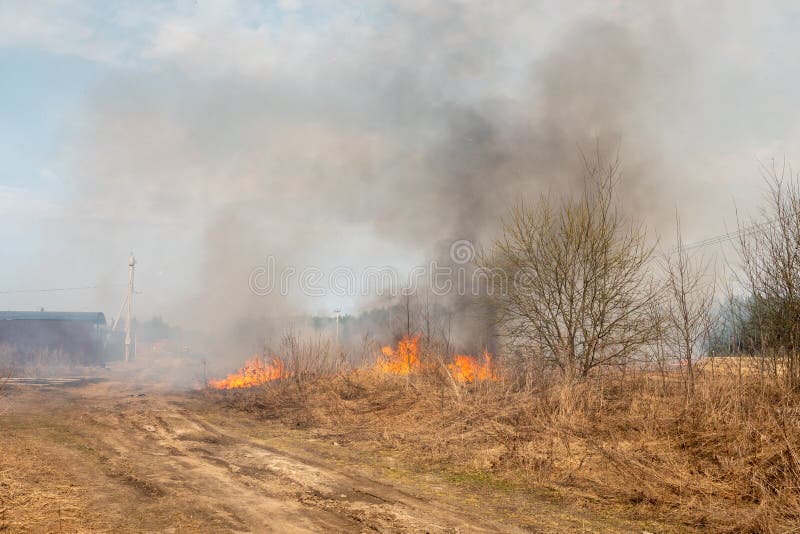 Forest Fire Burning, Wildfire Close Up at Day Time Stock Image - Image ...