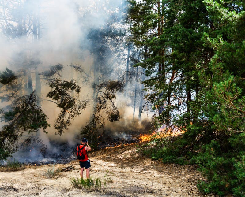 Forest Fire Burning, Wildfire Close Up at Day Time. Editorial ...