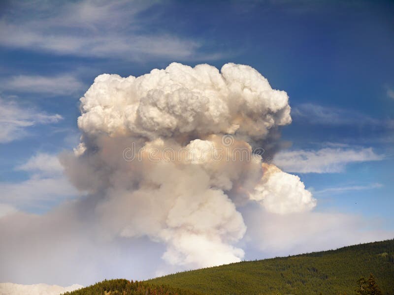 Forest Fire stock photo. Image of nature, rockies, mountains - 85184414