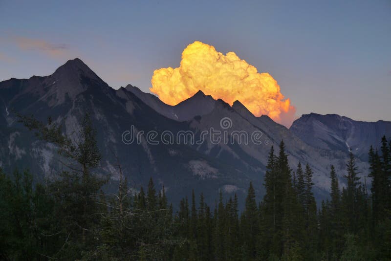 Forest Fire stock photo. Image of night, view, nature - 85216320