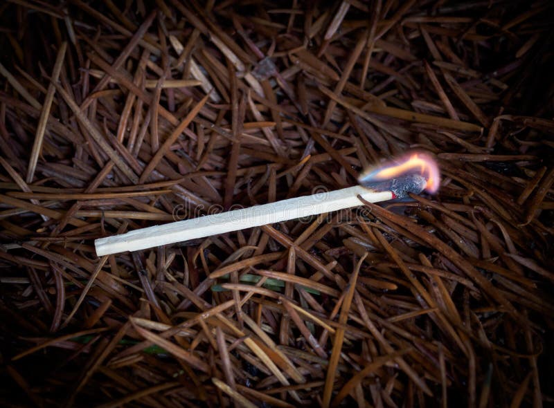 Forest fire concept stock photo. Image of fire, nature - 36671048