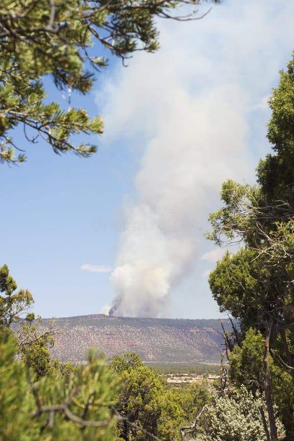 Forest Fire or Controlled Burn Atop Mesa Stock Image - Image of desert ...