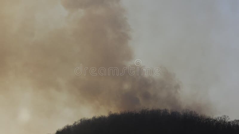 Forest Fire Disaster Burning Caused by Human Stock Footage - Video of ...