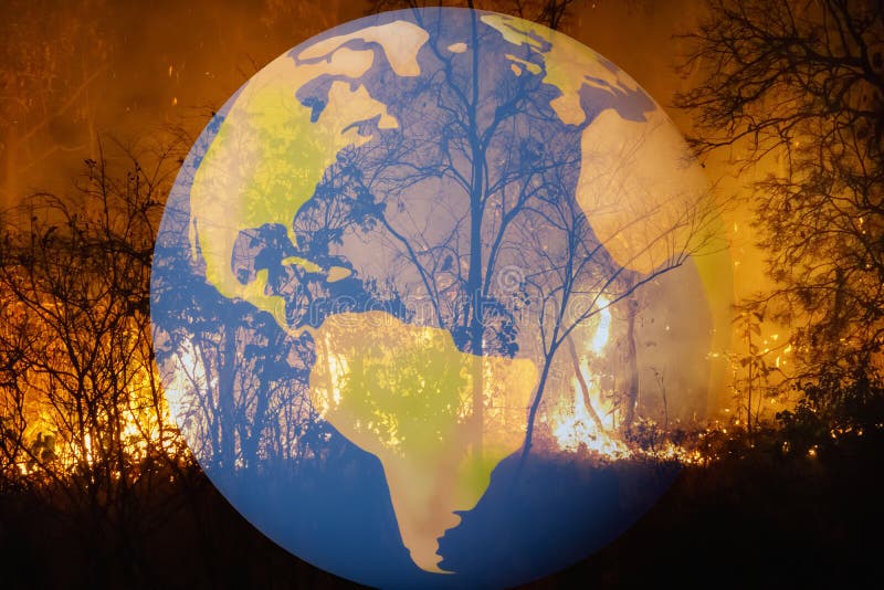 Forest Fire Disaster Burning Caused by Human Stock Photo - Image of ...