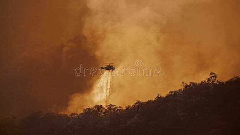Forest Fire Disaster Burning Caused by Human Stock Footage - Video of ...