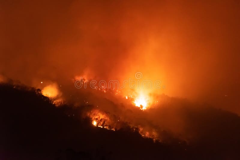 Forest Fire Disater Problem.Fire Burns Trees in the Mountain at Night ...