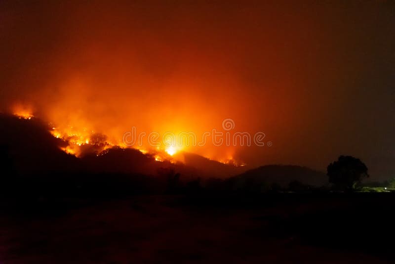 Forest Fire Disater Problem.Fire Burns Trees in the Mountain at Night ...