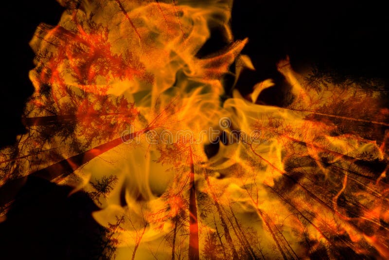 Forest in Fire. Double Exposure Stock Photo - Image of orange, brush ...