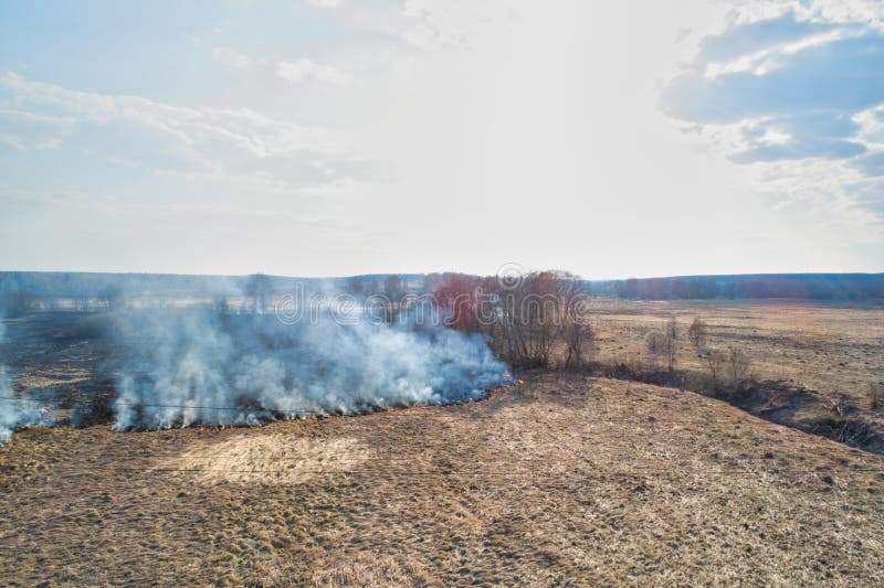 Forest Fire. Dry Grass Burning in the Field, Near the River Stock Photo ...