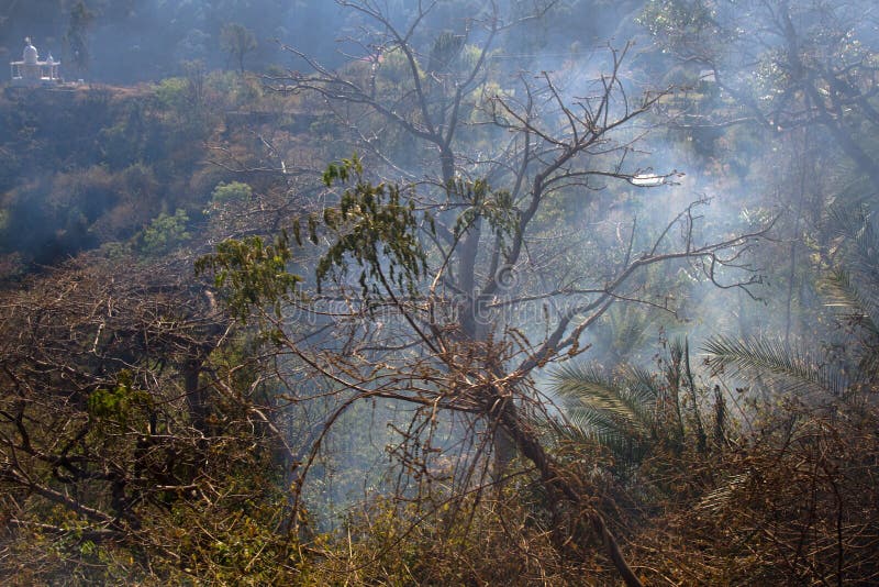 Forest Fire on the Dry Slopes of the Himalayas Stock Image - Image of ...