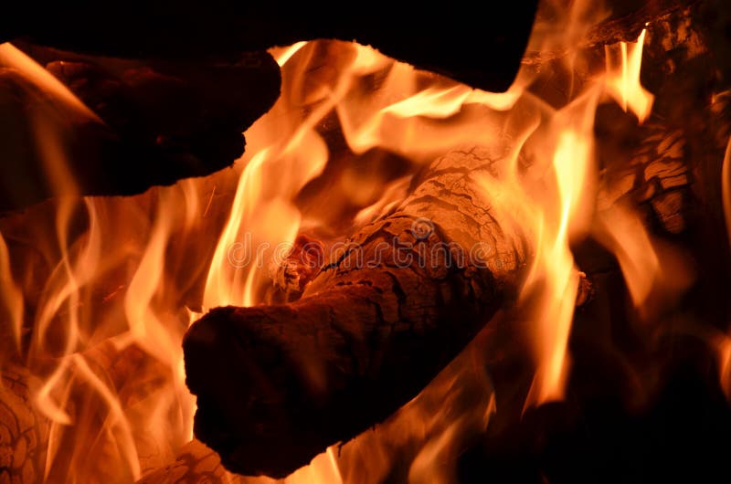 Forest fire stock image. Image of asthma, disaster, inferno - 102001417