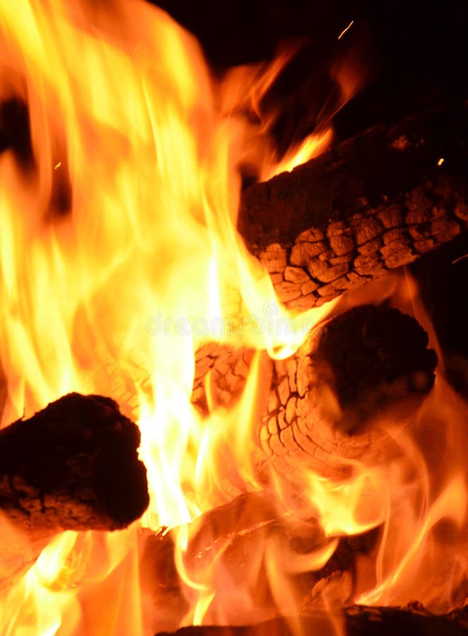 Forest fire stock image. Image of asthma, disaster, inferno - 102001417