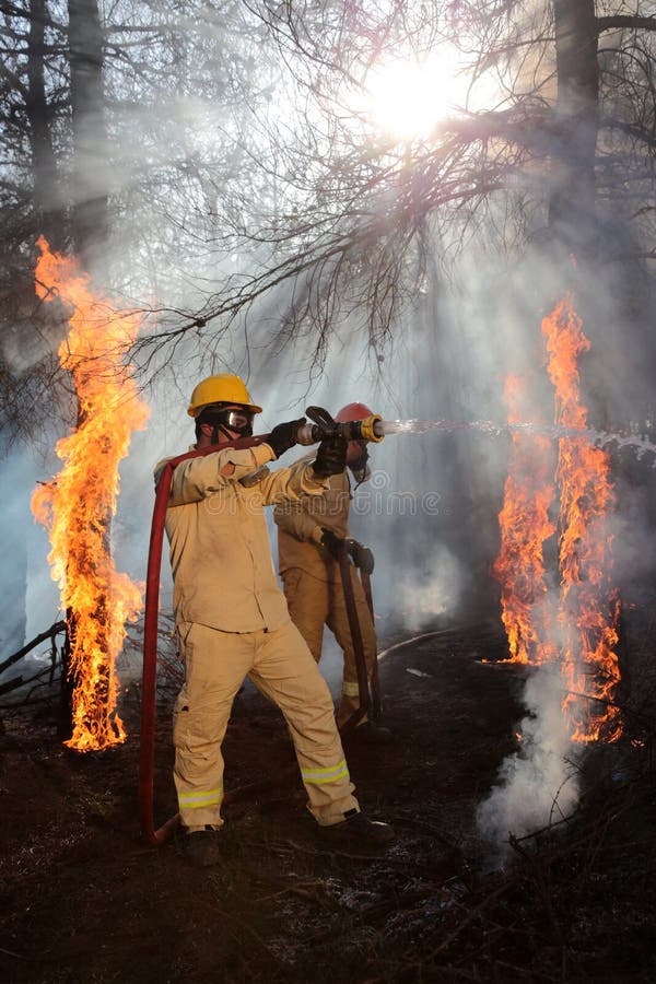 Forest Fire Extinguishing Works. Editorial Stock Image - Image of mist ...