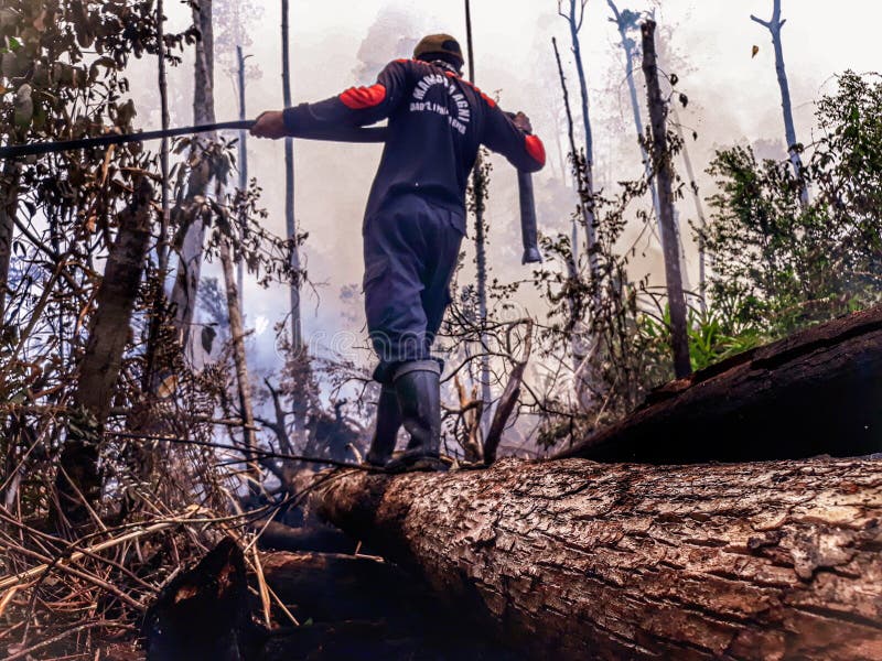 Forest fire figther editorial stock photo. Image of tree - 221897578