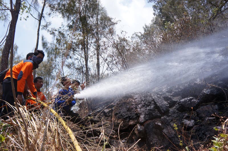 Forest fire editorial stock image. Image of central, east - 61403174