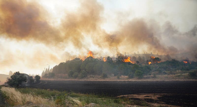 Forest Fire in Gallipoli, Canakkale, Turkiye Stock Image - Image of ...