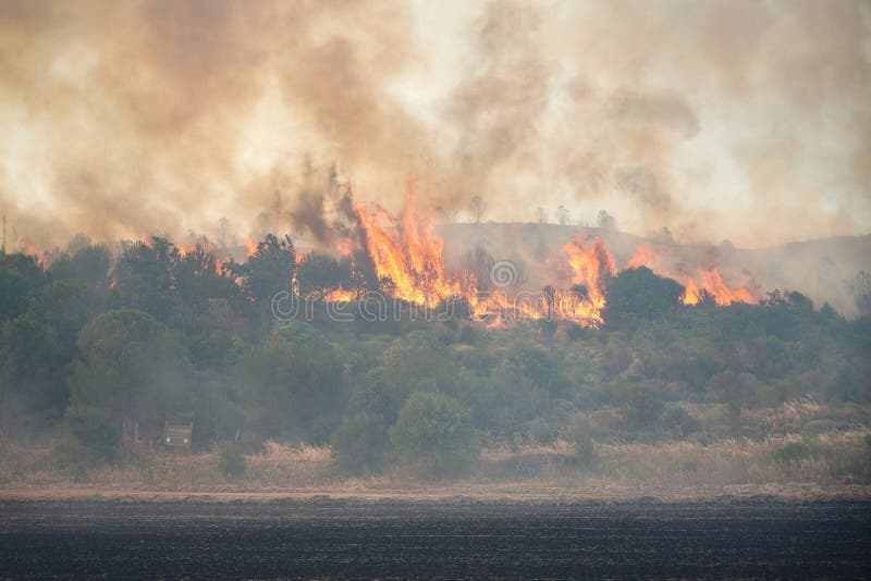 Forest Fire in Gallipoli, Canakkale, Turkiye Editorial Stock Photo ...