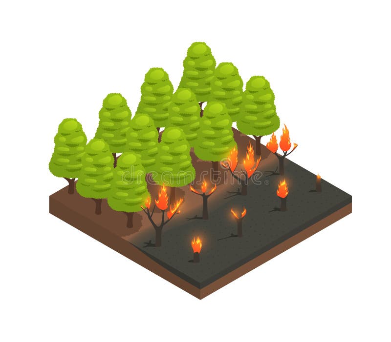 Forest Fire Isometric Composition Stock Vector - Illustration of risk ...