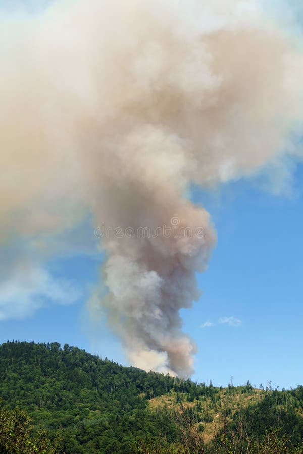 Forest Fire with a Large Cloud of Smoke Rising Stock Image - Image of ...