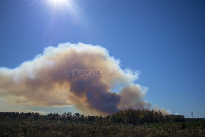 The Fire and the Large Oil Lamp Illuminate in Thai Temple Stock Photo ...