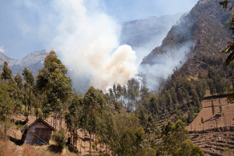 Forest Fire in the Mountains. Java Island, Indonesia Stock Photo ...
