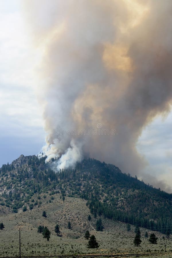 Forest Fire in Mountains, Nevada Stock Photo - Image of pollution ...