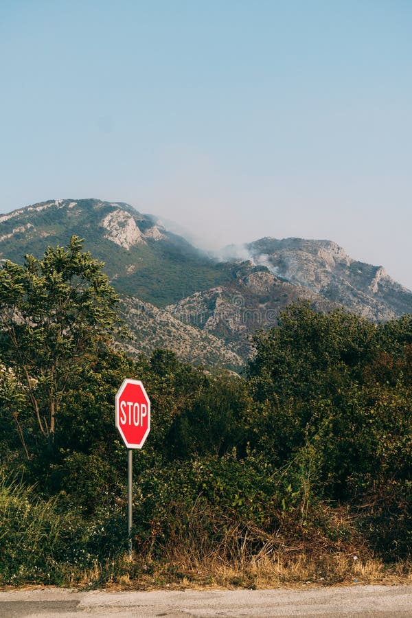 Forest Fire in the Mountains. Traffic Sign STOP in the Foreground Stock ...