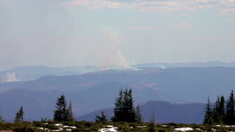 Forest Fire - Fire - Natural Disaster Stock Video - Video of mountain ...