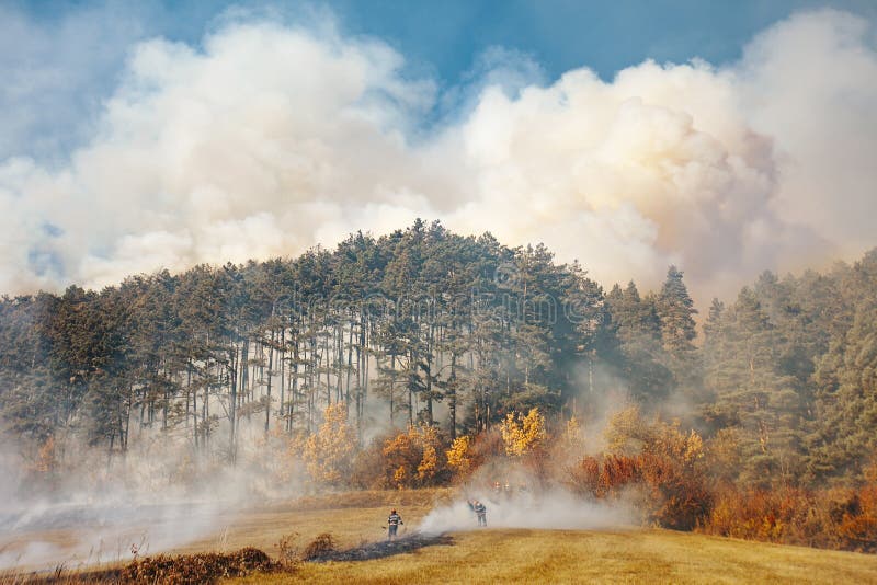Forest Fire, Nature Disaster Stock Photo - Image of environment ...