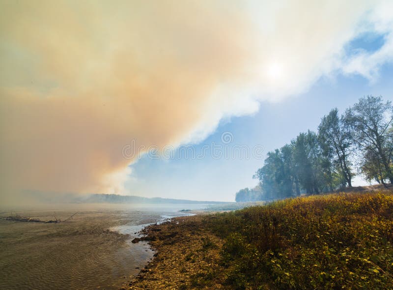 Forest Fire Near the River. a Cloud of Smoke Covers the Sky Stock Image ...