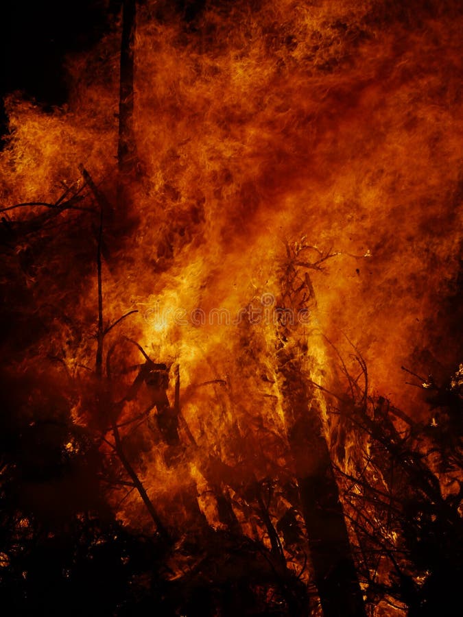 Forest fire at night stock image. Image of heat, warmth - 12370679