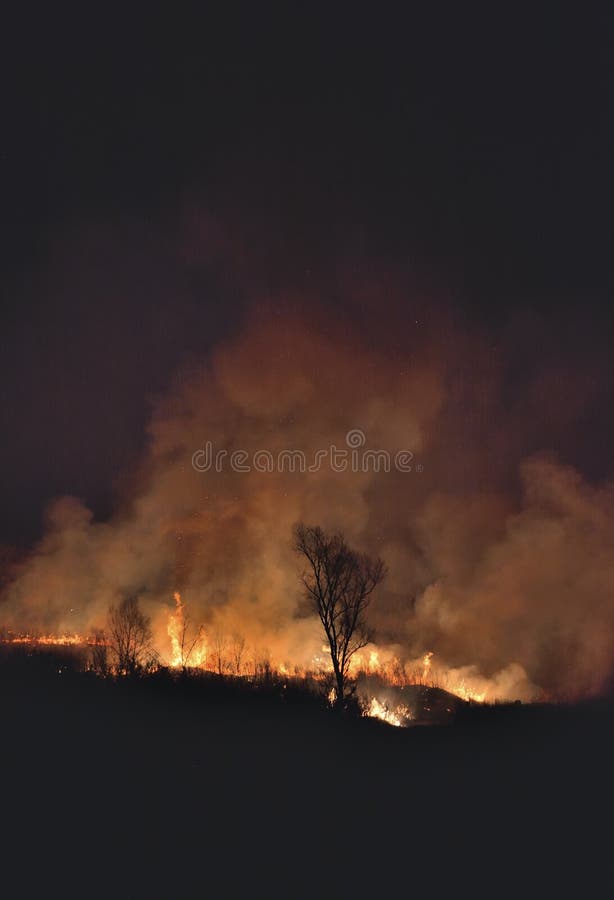 Forest fire 23 stock photo. Image of brushfire, spark - 131581270