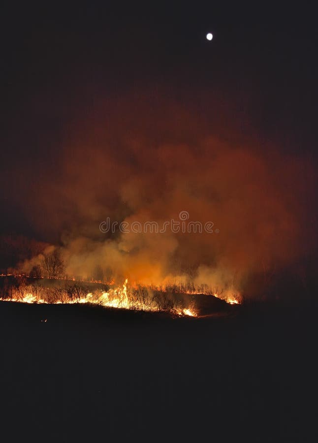 Forest fire 15 stock photo. Image of blaze, glowing - 135203554