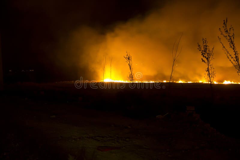 Forest fire at night stock image. Image of cropping, destruction - 43879109