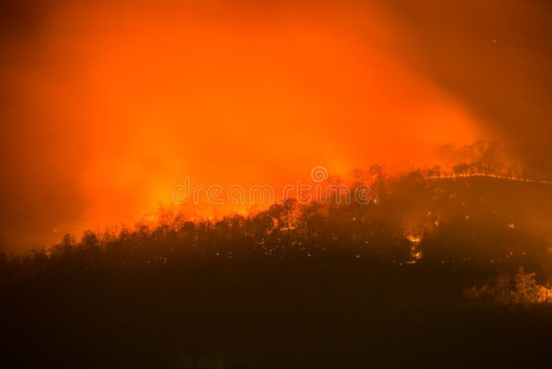 Forest Fire in Night stock photo. Image of tree, emergency - 174094444