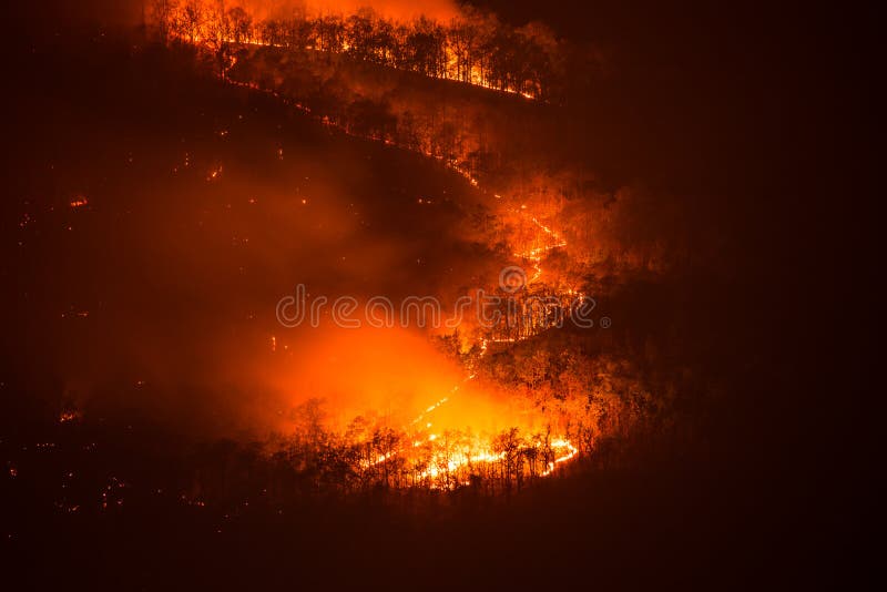 Forest Fire in Night stock image. Image of thailand - 174094467