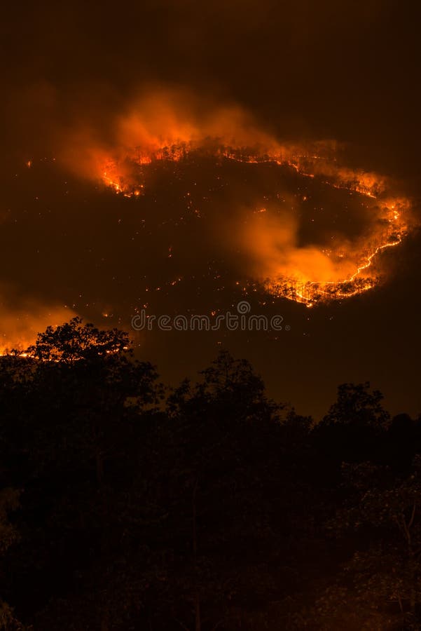 Forest Fire in Night stock photo. Image of county, rescue - 174094468