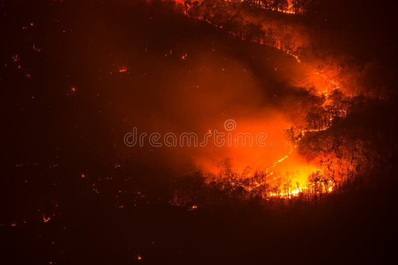 Forest Fire in Night stock image. Image of rescue, burnt - 185625409