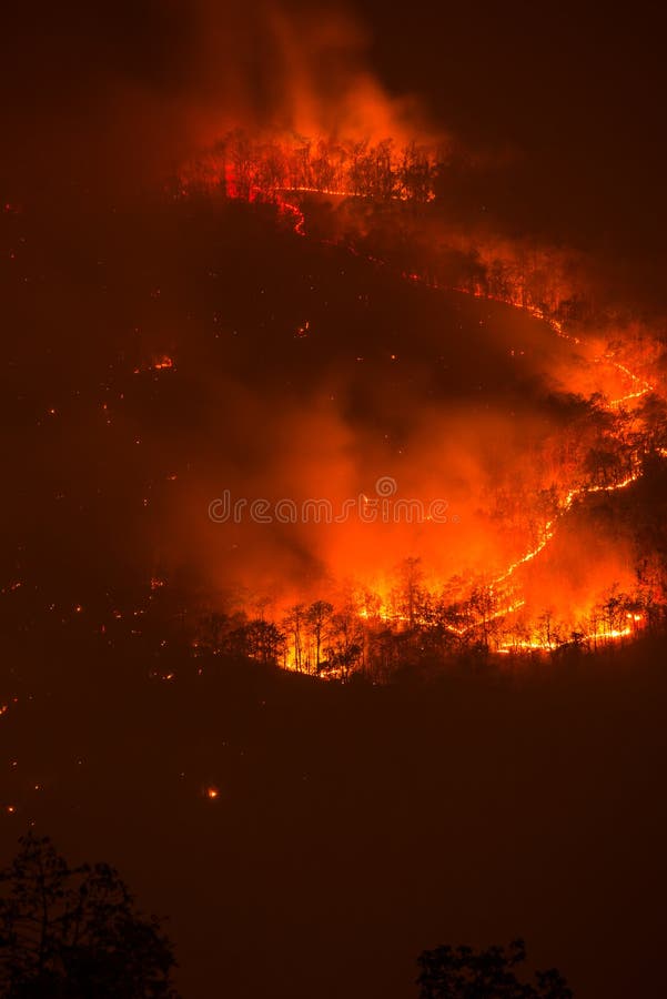 Forest Fire in Night stock image. Image of emergency - 188596187