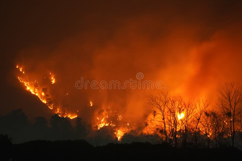Night wildfire stock photo. Image of outdoors, burnt - 30052082