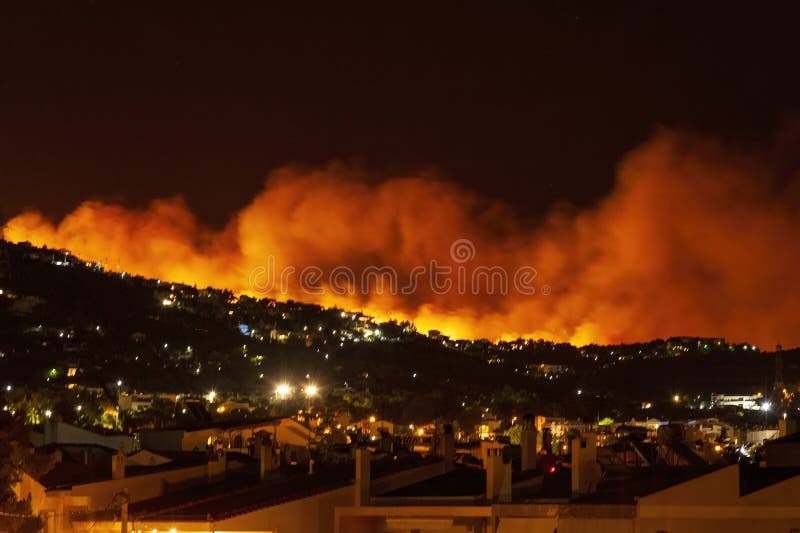 Forest Fire at Night.Wildfire Burning Forest Trees in the Mountain ...