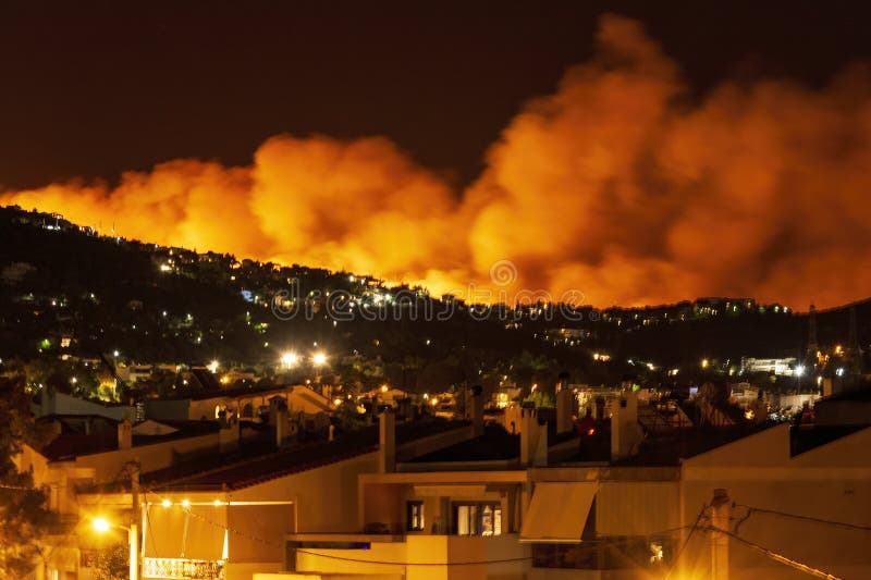Forest Fire at Night.Wildfire Burning Forest Trees in the Mountain ...