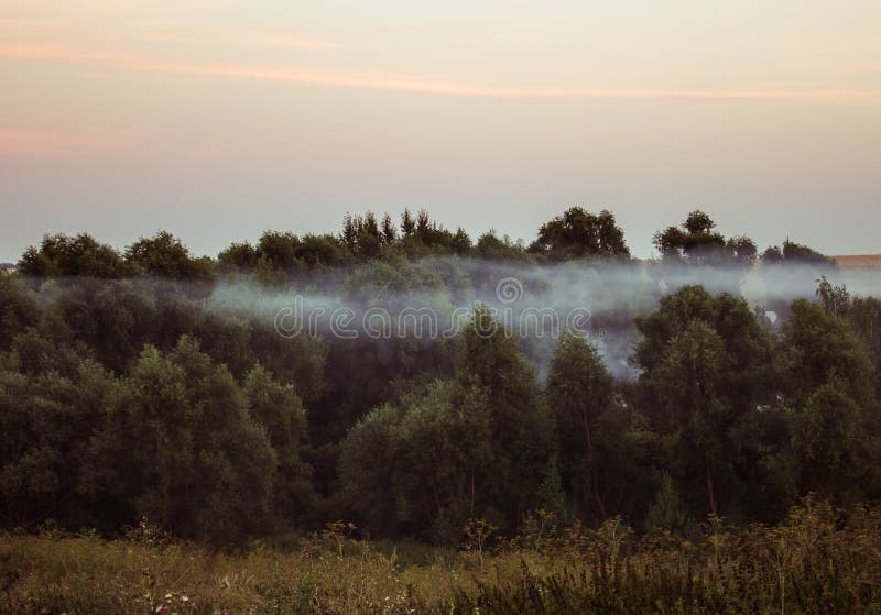 Forest Fire. Pollution and a Lot of Smoke. Stock Image - Image of ...