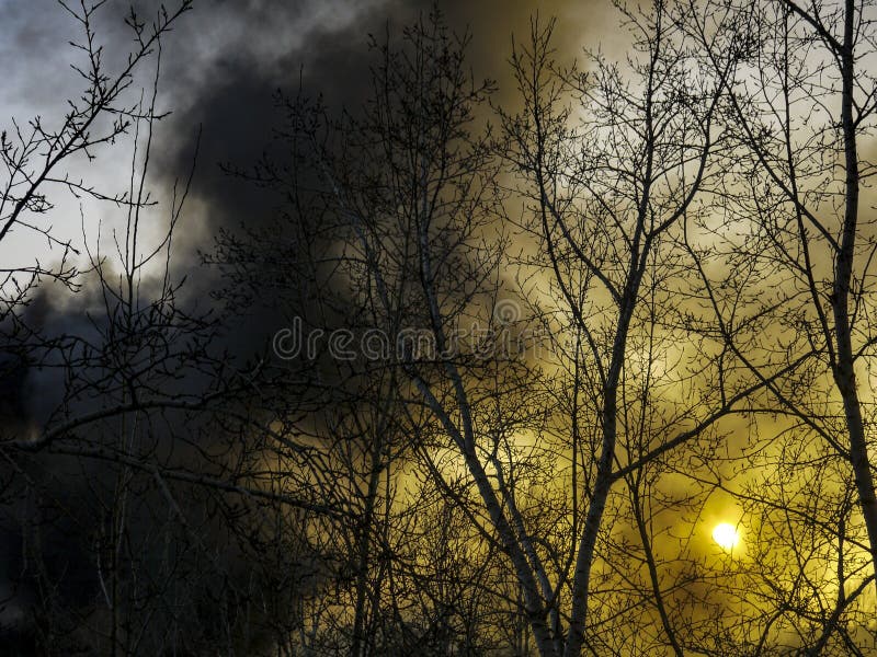 Forest Fire with Puffs of Smoke at Sunset Stock Image - Image of sunset ...