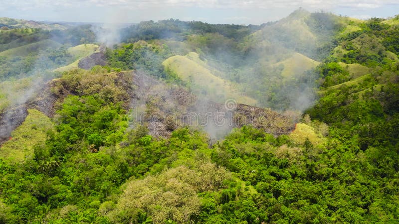 Forest Fire in the Rainforest. Bohol,Philippines. Stock Video - Video ...