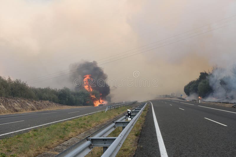 Forest fire on the road stock image. Image of fires - 102090397