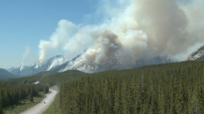 Forest Fire with Very Large Flames Stock Video - Video of wildfire ...