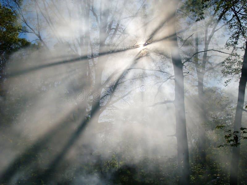 Forest Fire Smoke stock photo. Image of glow, forest, blaze - 9600098